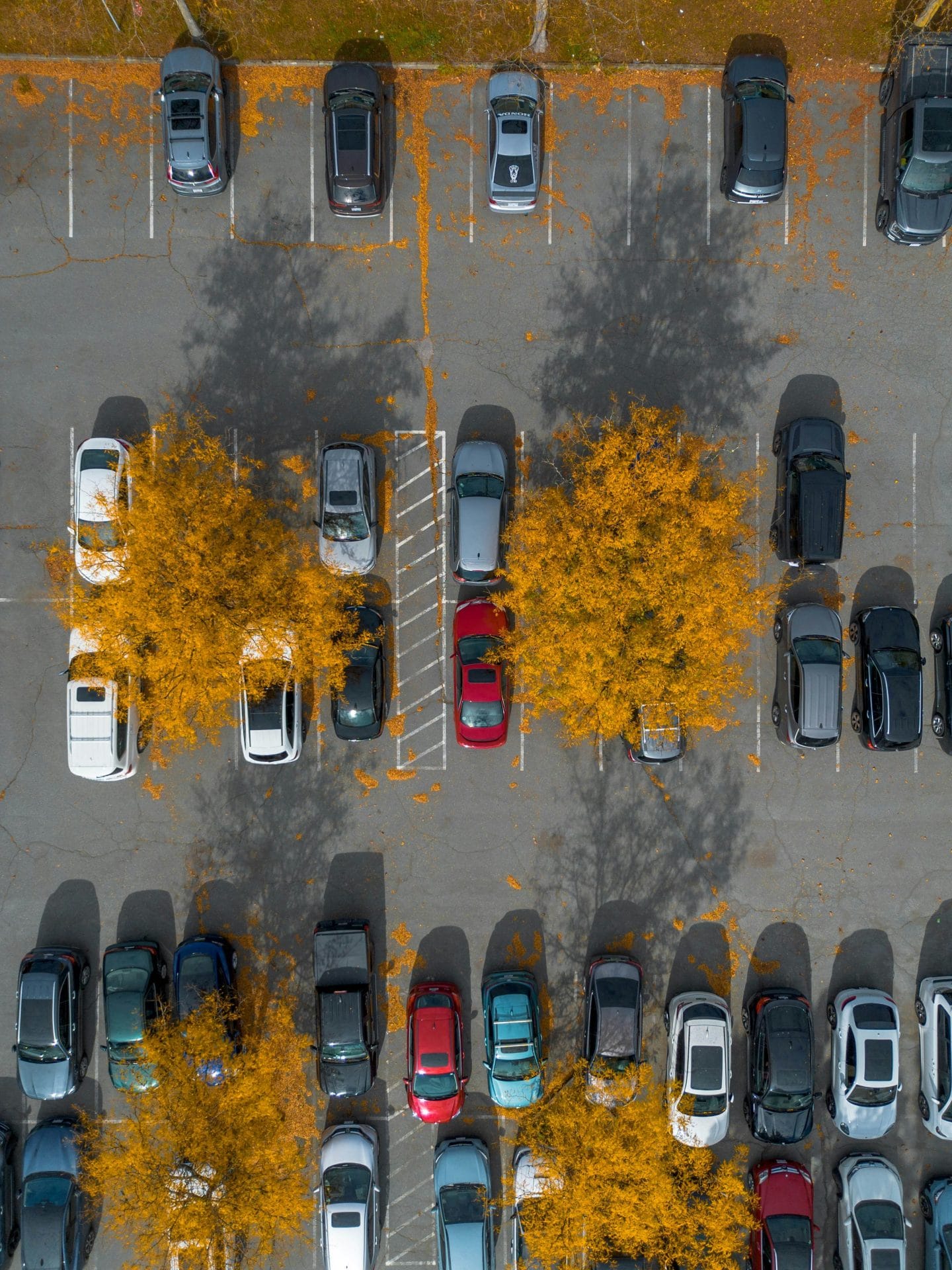 Nyon – Base Aparthotels